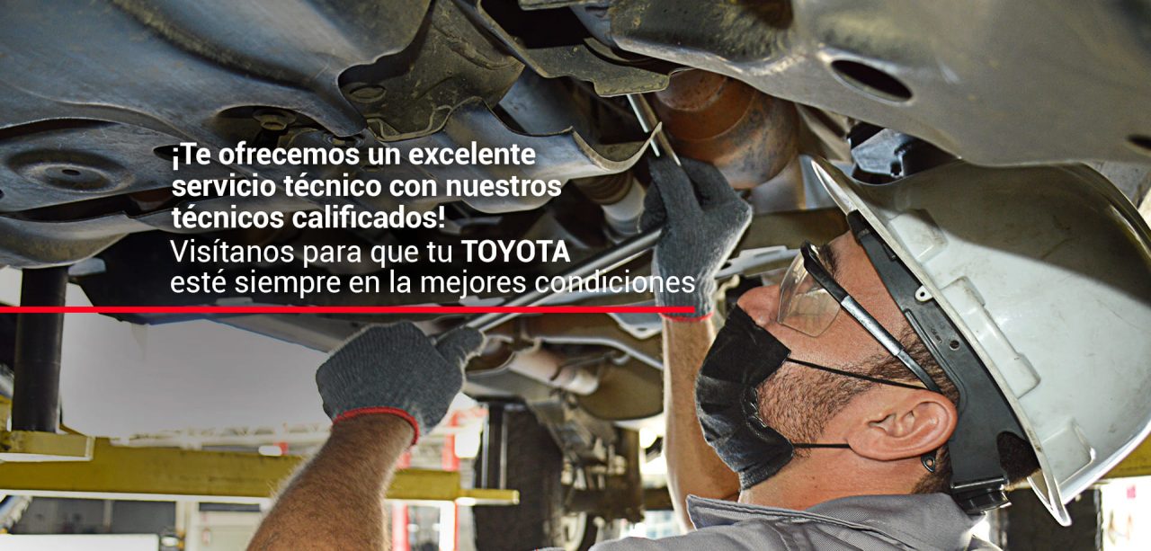 Servicios | Carsal